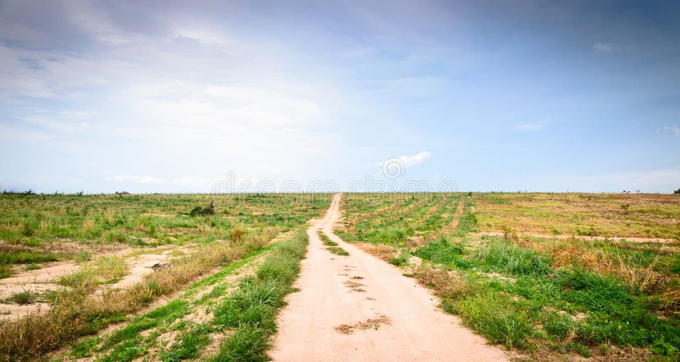 Long footpath to horizon stock photo. Image of long, outdoors - 26216212