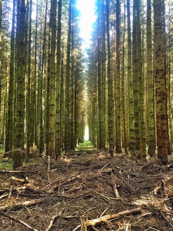 The long gap stock image. Image of long, aligned, perfectly - 76024713