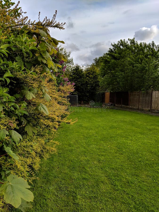 Long garden stock photo. Image of petals, flower, garden - 146947598