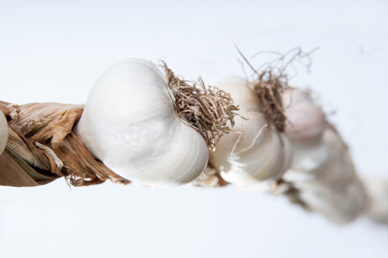 Long garlic string stock photo. Image of meal, braided - 60415528