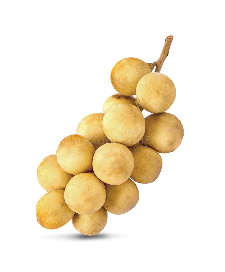 Long gong stock image. Image of langsat, lanzones, lansium - 78764291