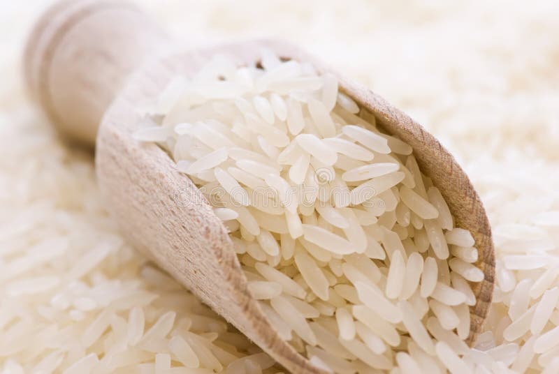 Long Grain Rice stock image. Image of long, shovel, brown - 17430125