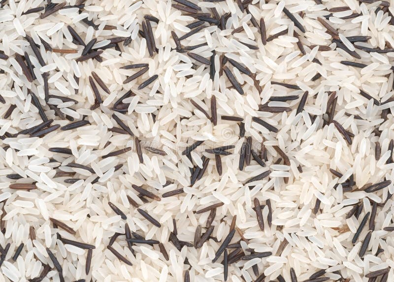 Long grain rice background stock photo. Image of rice - 14476600