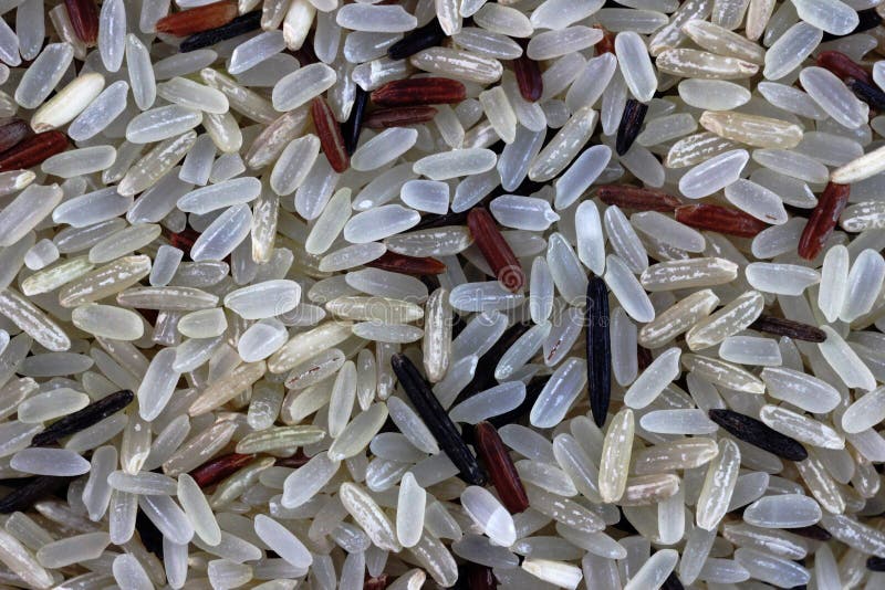 Long Grain Rice Scattered on the Table Stock Photo - Image of sunflower ...