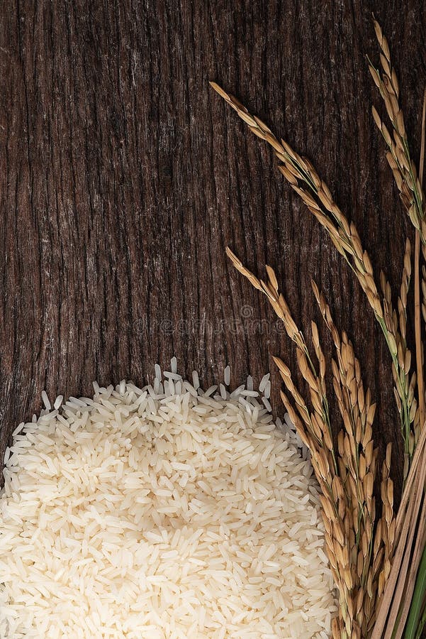 Long Grain of Rice and Rice,White Rice Jasmine Rice Thailand Stock ...