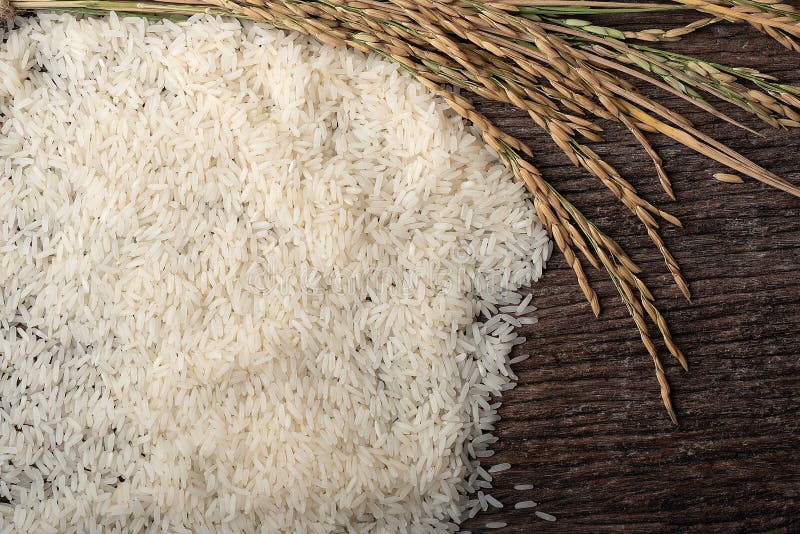 Long Grain of Rice and Rice,White Rice Jasmine Rice Thailand Stock ...