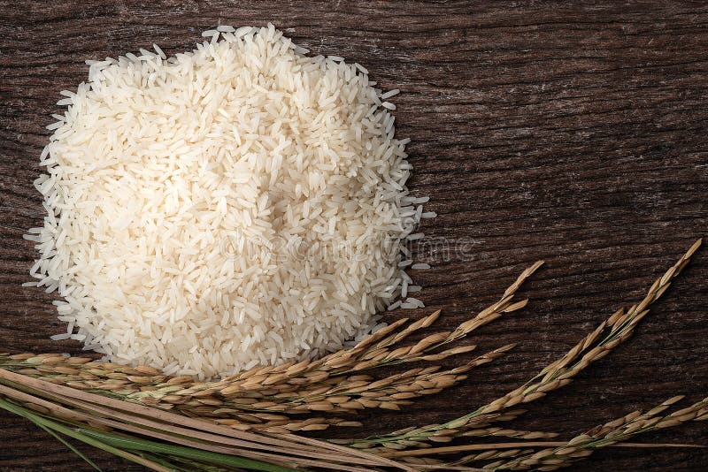Long Grain of Rice and Rice,White Rice Jasmine Rice Thailand Stock ...