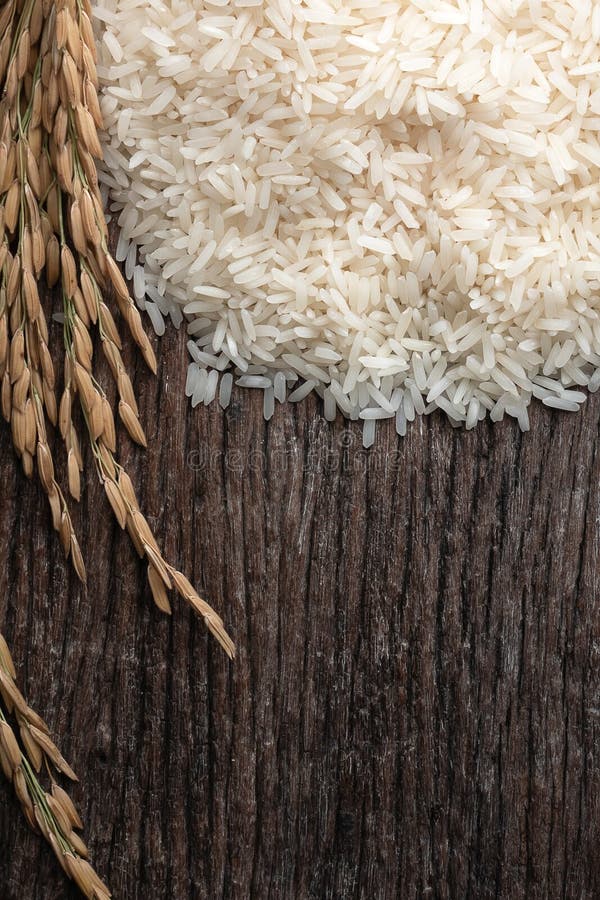 Long Grain of Rice and Rice,White Rice Jasmine Rice Thailand Stock ...