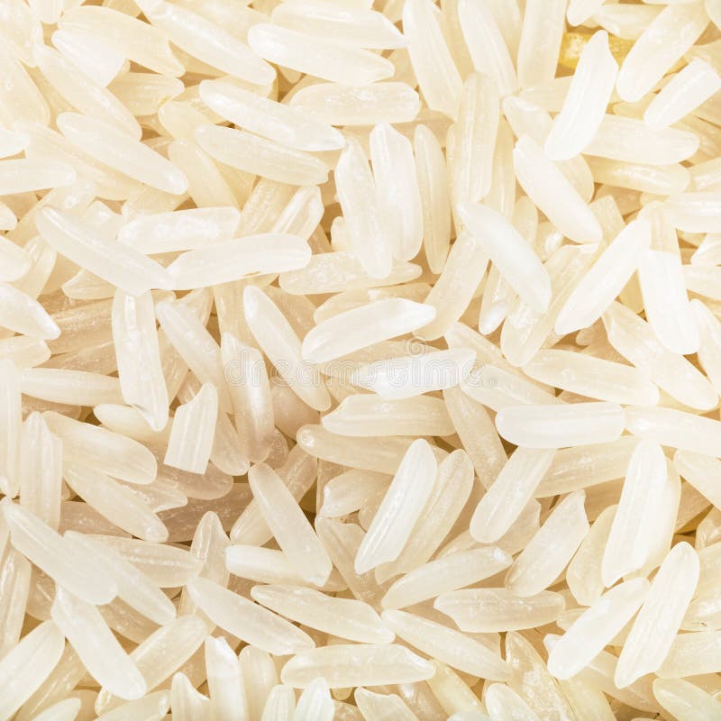 Long-grain Uncooked White Jasmine Rice Stock Photo - Image of thai ...