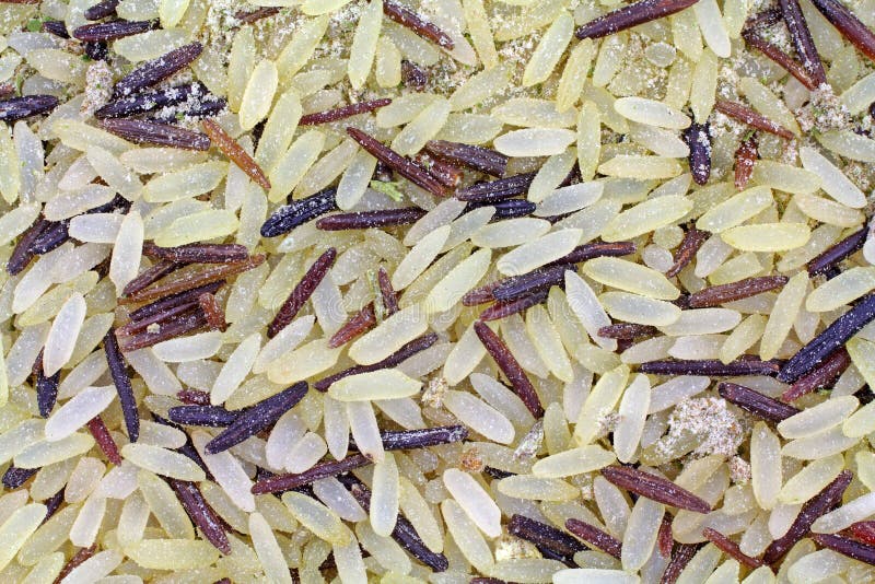 Long Grain Wild Rice Seasonings Close View Stock Image - Image of tasty ...