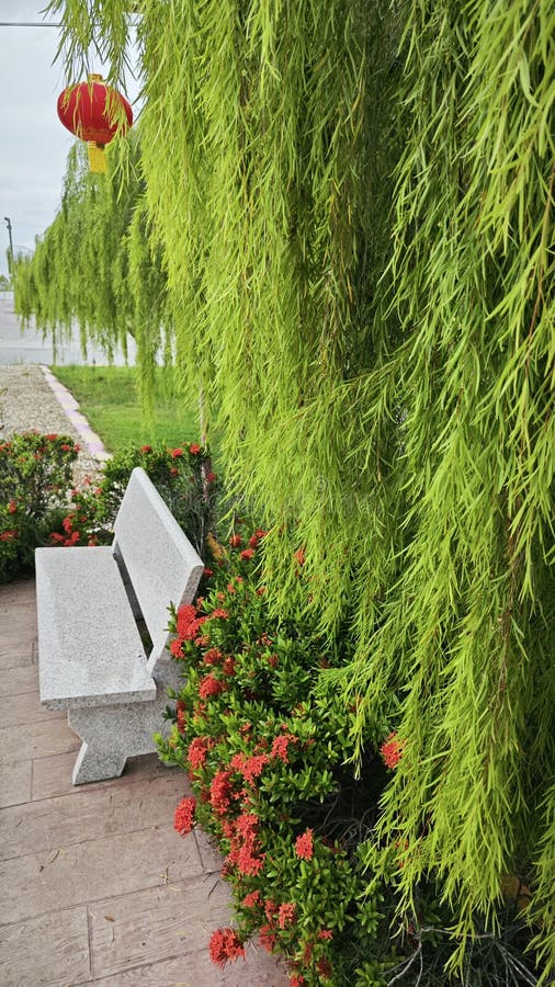 Long Granite Rock Bench Under the Willow Tree. Stock Photo - Image of ...