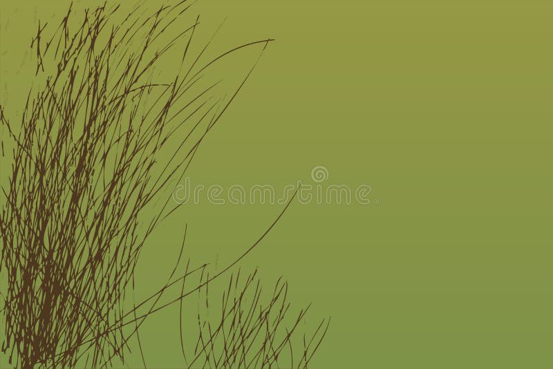 Long Grass stock vector. Illustration of summer, green - 7984662