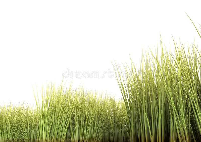 Long Grass Stock Illustrations – 50,668 Long Grass Stock Illustrations ...