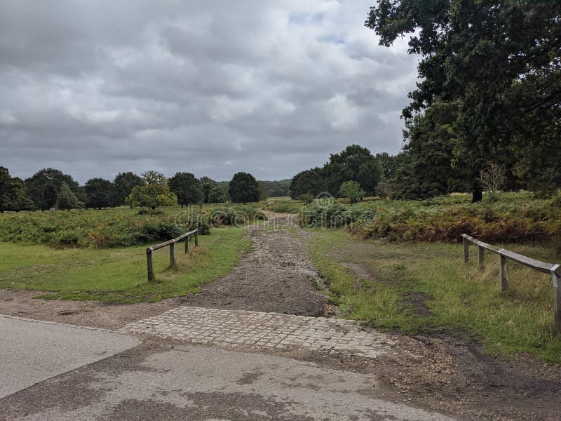Long Grassy Pathway Surrounded by Trees and Greens Under the Cloudy Sky ...