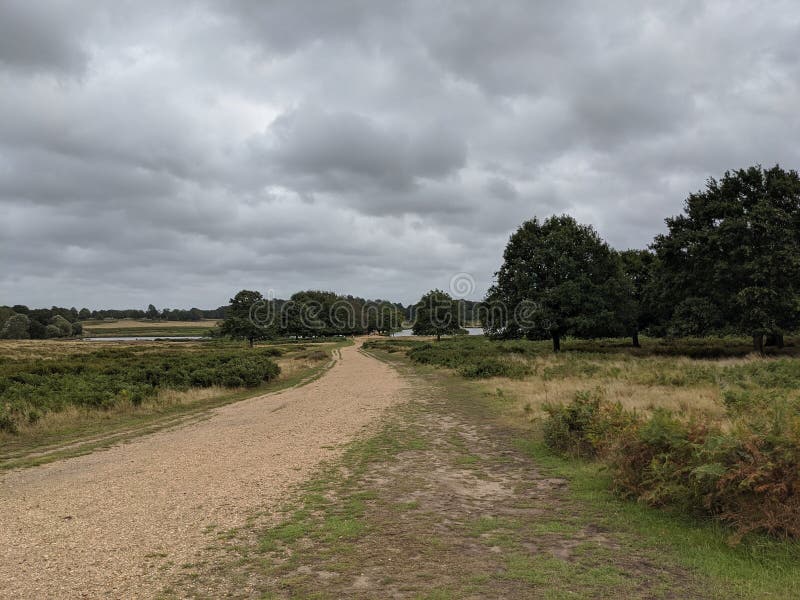 Long Grassy Pathway Surrounded by Trees and Greens Under the Cloudy Sky ...
