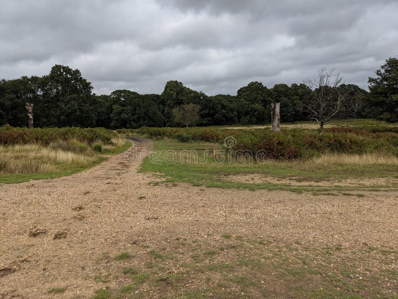 Long Grassy Pathway Surrounded by Trees and Greens Under the Cloudy Sky ...