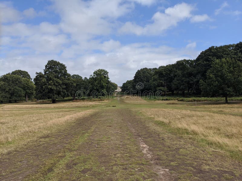 Long Grassy Pathway Surrounded by Trees and Greens Under the Cloudy Sky ...