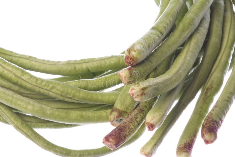 Long Green Beans Isolated stock image. Image of vegetable - 9175591