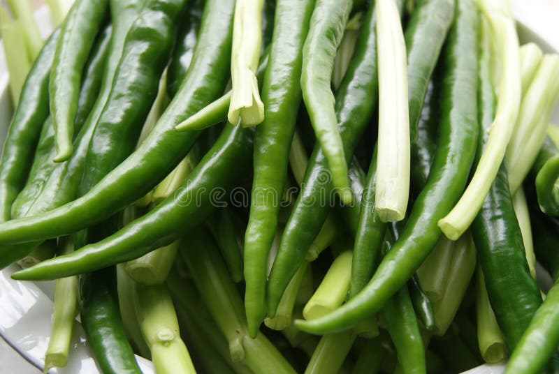 Long green pepper stock image. Image of delicious, pepper - 14595645