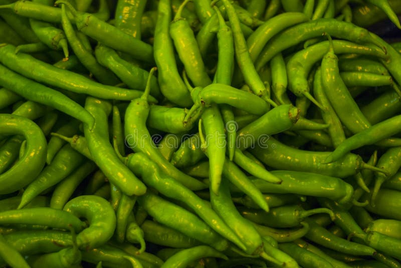 Long Green Peppers on Stand Stock Image - Image of sweet, supermarket ...