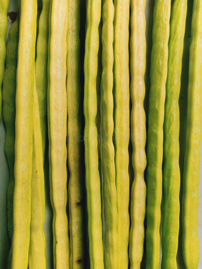 Long green pods of cayenne stock image. Image of food - 226602293
