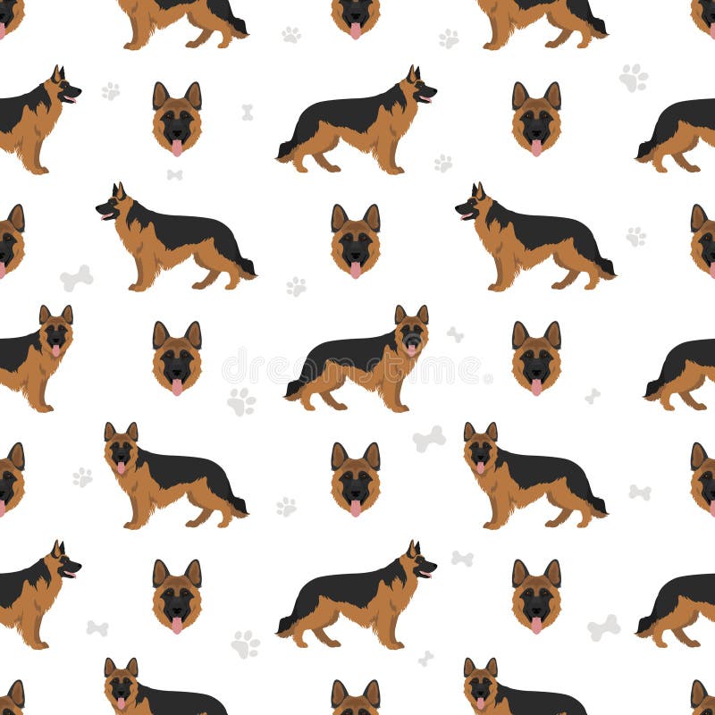 Long Haired German Shepherd Dog in Different Coat Colors Seamless ...