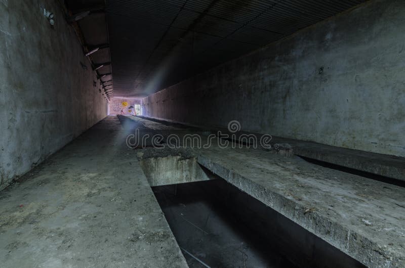 481 Breeding Hall Stock Photos - Free & Royalty-Free Stock Photos from ...