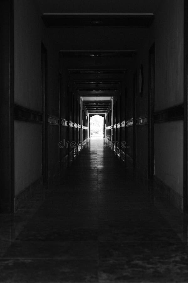 A Long Hall Corridor with a Rooms in Both Sides Stock Photo - Image of design, door: 259002716