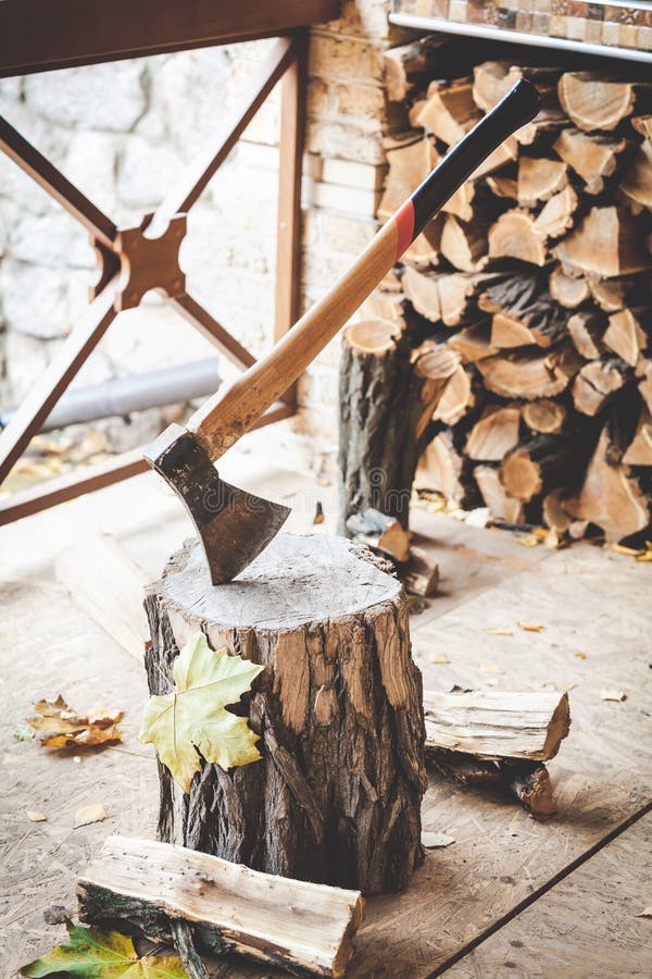 Sticking Ax in a Tree Stump Stock Image - Image of forestry, tree ...