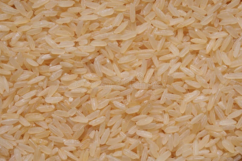 Long Hard Rice in the Background. Stock Photo - Image of toughness ...