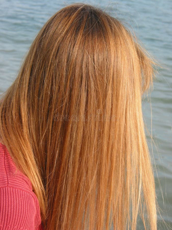 Long healthy hair stock image. Image of hair, healthy, long - 259329