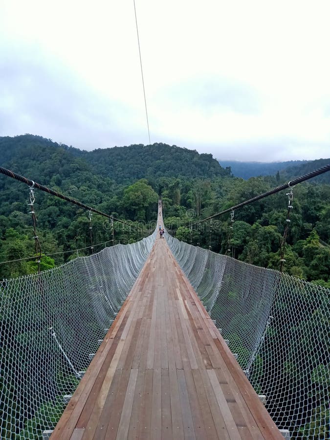 Long and High Bridge at Sukabumi Indonesia Stock Photo - Image of ...