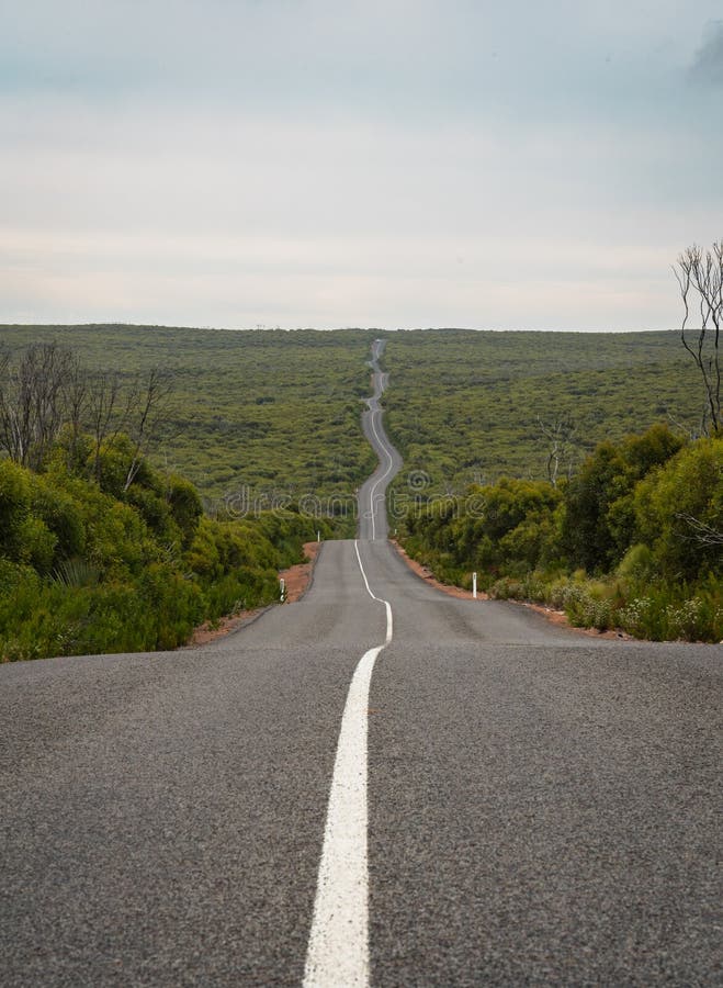 A Long Highway with Trees and Scrub To the Side on Either Side Stock ...
