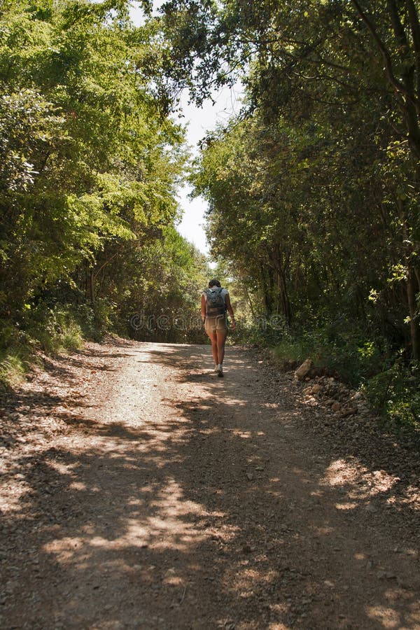 Long hike in forest stock photo. Image of hike, hiker - 24143058