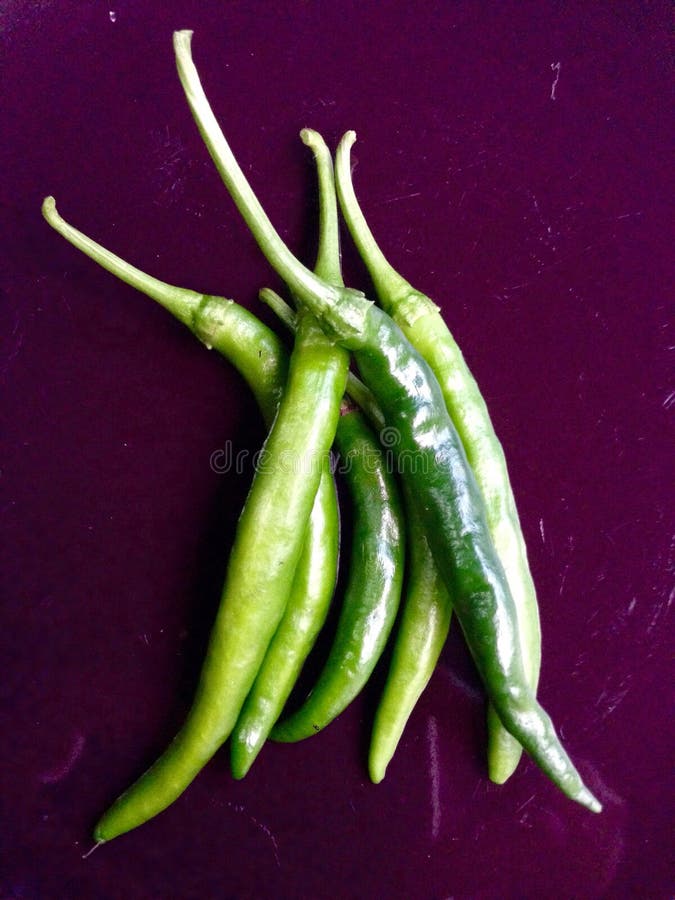 Long hot chilli stock image. Image of long, chilli, spicy - 55681889