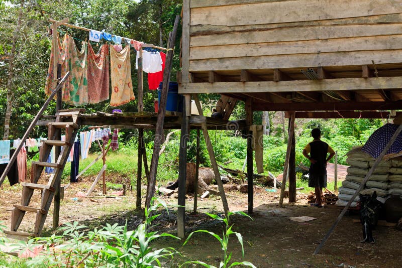 Long House of the Iban Tribe Stock Photo - Image of native, lodge: 19154204
