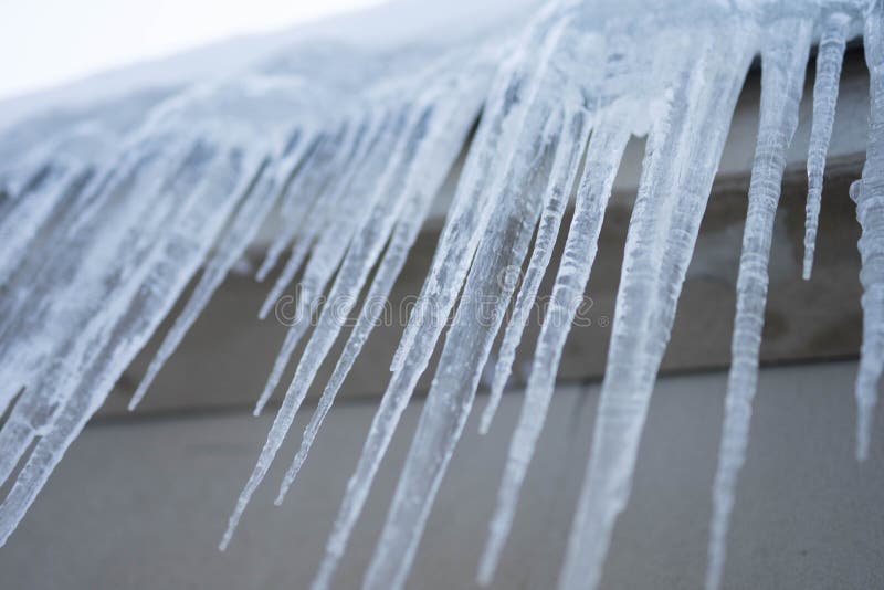 Long icicles stock photo. Image of frost, arctic, drip - 3867586
