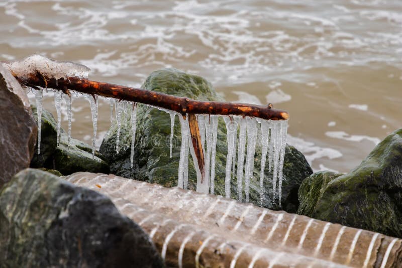 Long Icles Stock Photos - Free & Royalty-Free Stock Photos from Dreamstime