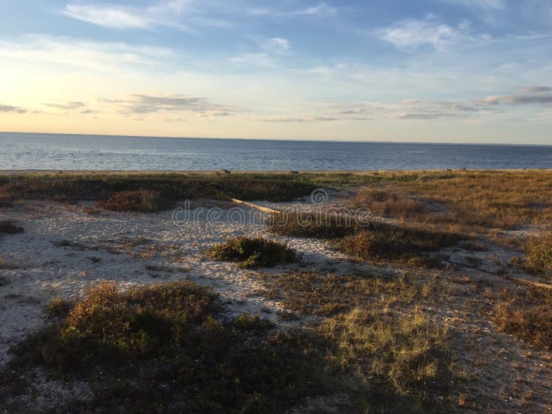 Serene Beachscape stock photo. Image of island, water - 282247028