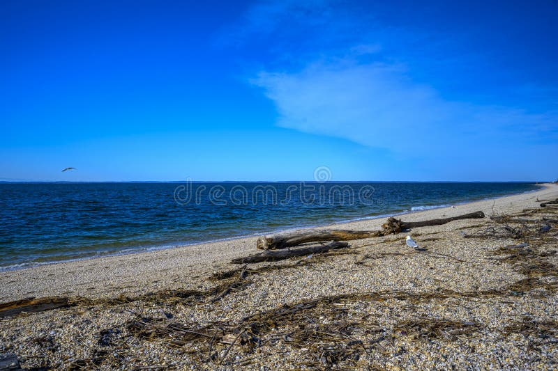 Long Island Beaches stock image. Image of country, spring - 312370795