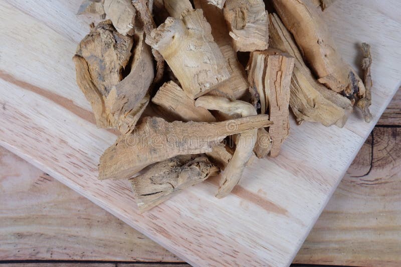 Long Jack Roots stock image. Image of supplementneurycoma - 106182745