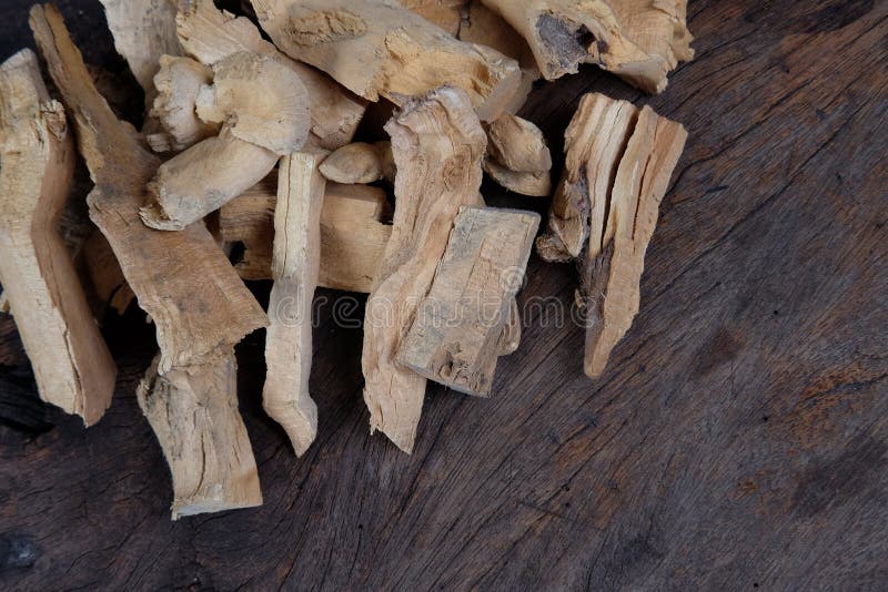 Long Jack Roots image stock. Image du graines, brun - 106182695