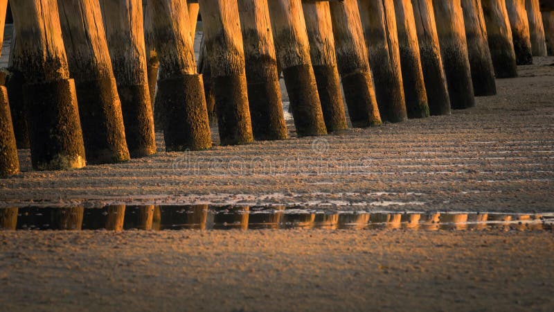 Long Jetty, Port Welshpool, at Low Tide Stock Photo - Image of ...