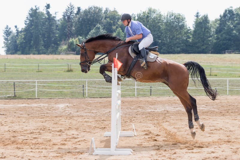 Long Jump Over a Hurdle in Equestrian Competition Editorial Stock Photo ... Long Jump Over a Hurdle in Equestrian Competition Editorial Stock Photo ...