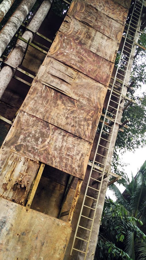 Long Ladder to the Top stock photo. Image of malaysia - 61517228