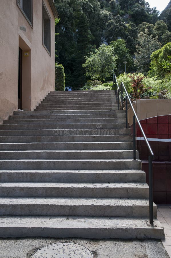 Long ladders stock image. Image of ladder, green, nature - 40138407