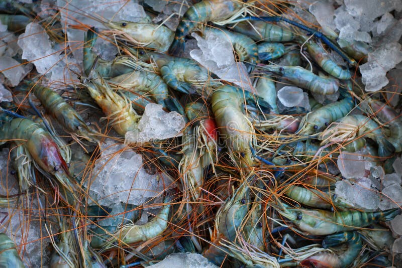 Traditional Long Legged House Stock Photos - Free & Royalty-Free Stock ...