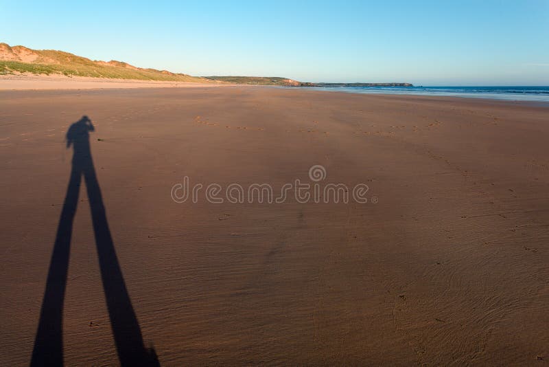 Long Legged Shadow on a Sandy Beach at Sunset Stock Image - Image of ...