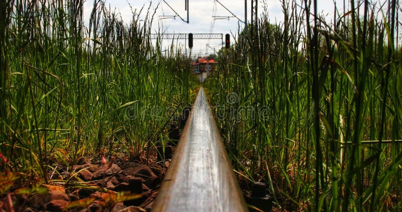 Long line stock photo. Image of line, green, transport - 103205962