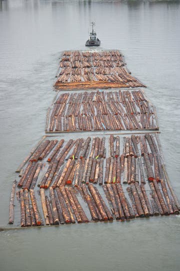 Transporting Timber Water Stock Photos - Free & Royalty-Free Stock ...